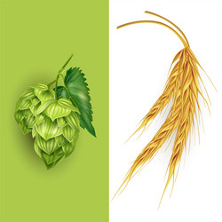 Hops Vector Images (over 45,000)