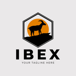 Silhouette ibex or goat mountain logo design Vector Image