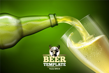 From the bottle poured beer Royalty Free Vector Image