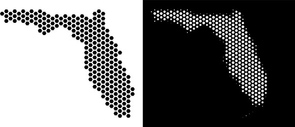 Florida map hexagon scheme Royalty Free Vector Image