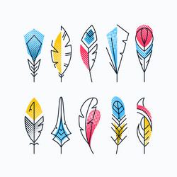 Colored feathers set Royalty Free Vector Image