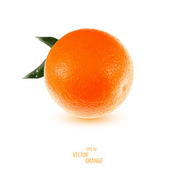 Orange Vector Images (over 2.8 million)