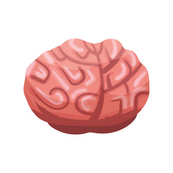 Brain Top View Vector Images (over 520)