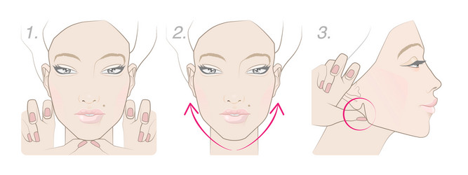 Chin Vector Images (over 5,300)