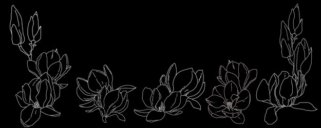 Magnolia flowers in bloom frame border template Vector Image