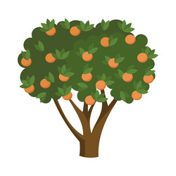 Lemon tree with ripe fruits cartoon Royalty Free Vector