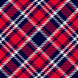 Red Flannel Background Vector Images (over 11,000)