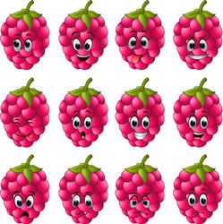 Raspberry Face Vector Images (over 720)