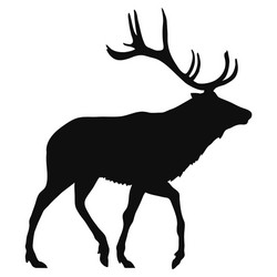 Black silhouette a deer on white background Vector Image