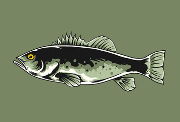 Walleye Outline Vector Images (65)