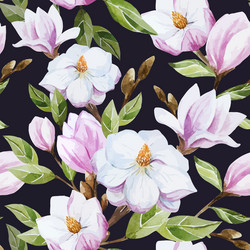 Magnolia set Royalty Free Vector Image - VectorStock