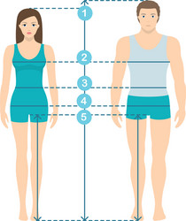 Human design bodygraph chart Royalty Free Vector Image