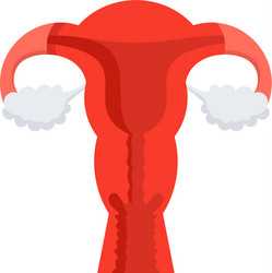 Endometriosis uterus with cells endometrium Vector Image