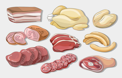 Set of icons raw and grilled steak chops meat Vector Image