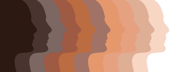 Head shapes in various skin colors - diversity Vector Image
