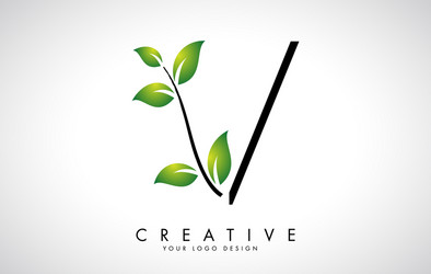 Leaf cut v letter and green background Royalty Free Vector