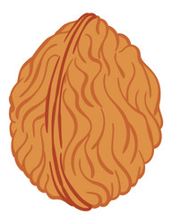Walnut Cartoon Vector Images (over 2,700)