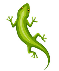 Little funny green lizard in a cartoon style Vector Image