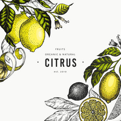 Lemon border drawing citrus fruit frame Royalty Free Vector