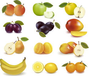Set collection of fresh fruit Royalty Free Vector Image