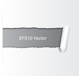 Ripped Paper Vector Images (over 19,000)