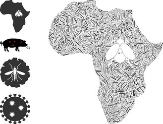 Trypanosoma Vector Images (81)