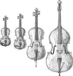 Classical string instruments in symphony orchestra