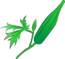 Okra Green Color Vector Images (47)