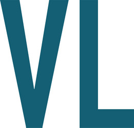 Initial letter lv shield hexagonal logo template Vector Image