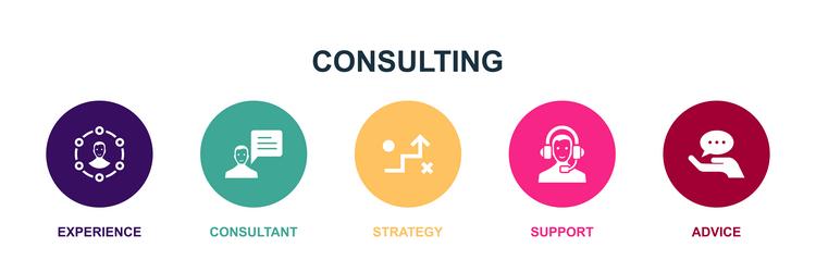 Experience consultant strategy support advice Vector Image