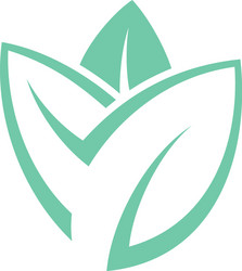 Mint leaves graphic design template isolated Vector Image