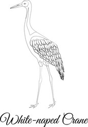 Blue crane bird outline Royalty Free Vector Image