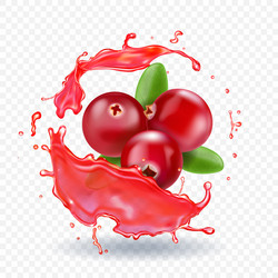 Raspberry in berry juice splash Royalty Free Vector Image
