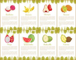 Chompoo Fruit Vector Images (60)