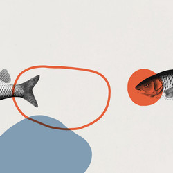 Marine silhouette round frame made of fish shells Vector Image