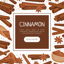 Cinnamon design with aromatic spice sticks Vector Image