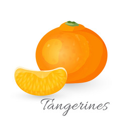 Tangerine Royalty Free Vector Image - VectorStock