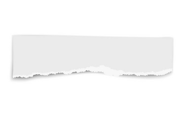 Newspaper Tear Vector Images (over 870)