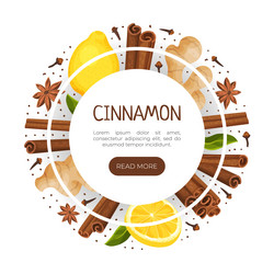 Cinnamon design with aromatic spice sticks Vector Image