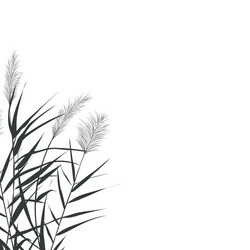 Reed Royalty Free Vector Image - VectorStock