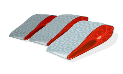 Headless Cartoons Vector Images (over 290)