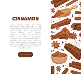 Cinnamon design with aromatic spice sticks Vector Image