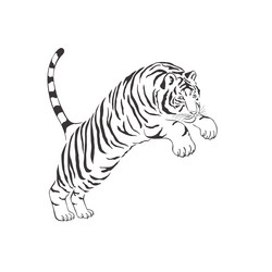 White Tiger Vector Images (over 15,000)