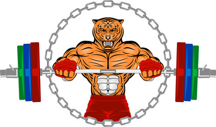 Tiger Gym Logo Vector Images (65)