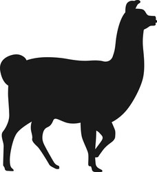 Free Llama Vector Images (75)
