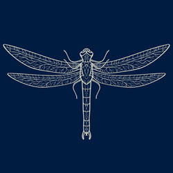 Dragonfly Vector Images (over 16,000)