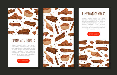 Cinnamon design with aromatic spice sticks Vector Image