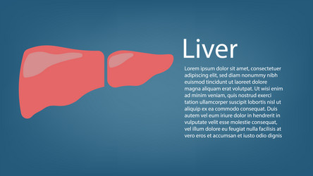 Hepatic Vector Images (over 7,000)