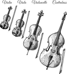 Bowed string instruments Royalty Free Vector Image