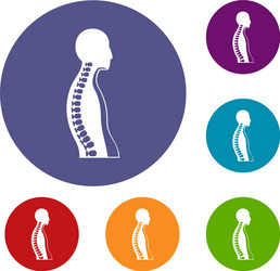 Orthopedic and spine icons Royalty Free Vector Image